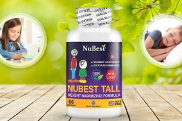 Singer Quantum 9910 Sewing Machine Review